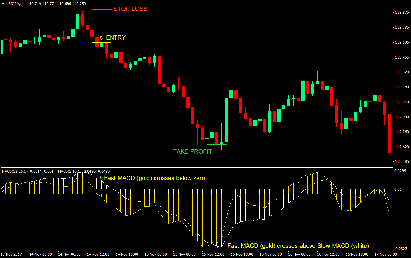Dual MACD Cross Forex Trading Strategy - ForexMT4Indicators.com