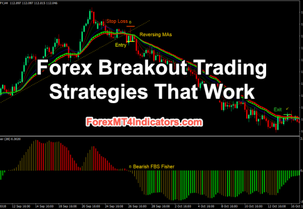 Forex MT4 Indicators | Forex Indicators Download | Forex Strategies