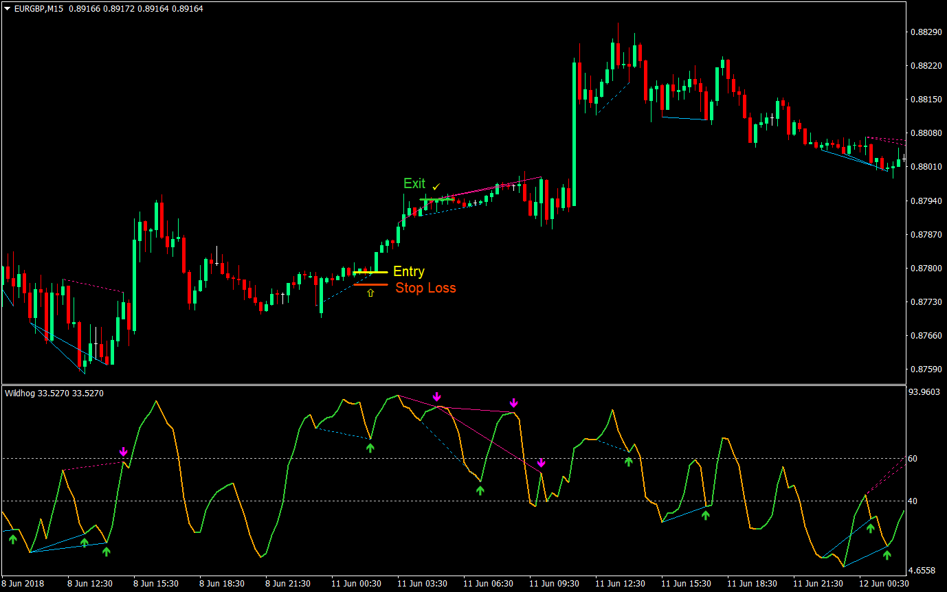 Wildhog Hidden Divergence Forex Trading Strategy – The Ultimate Guide ...