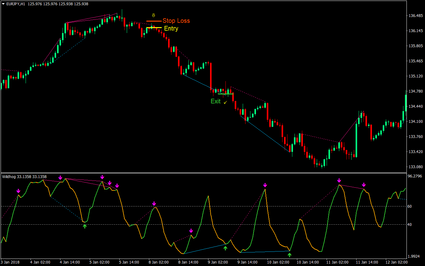 Wildhog Hidden Divergence Forex Trading Strategy – The Ultimate Guide ...