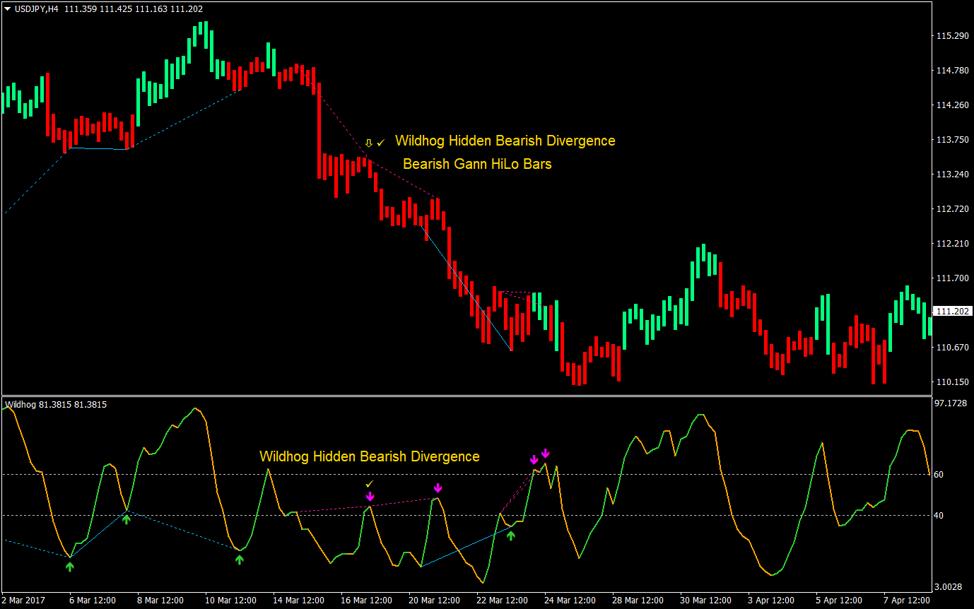 Wildhog Hidden Divergence Forex Trading Strategy – The Ultimate Guide ...