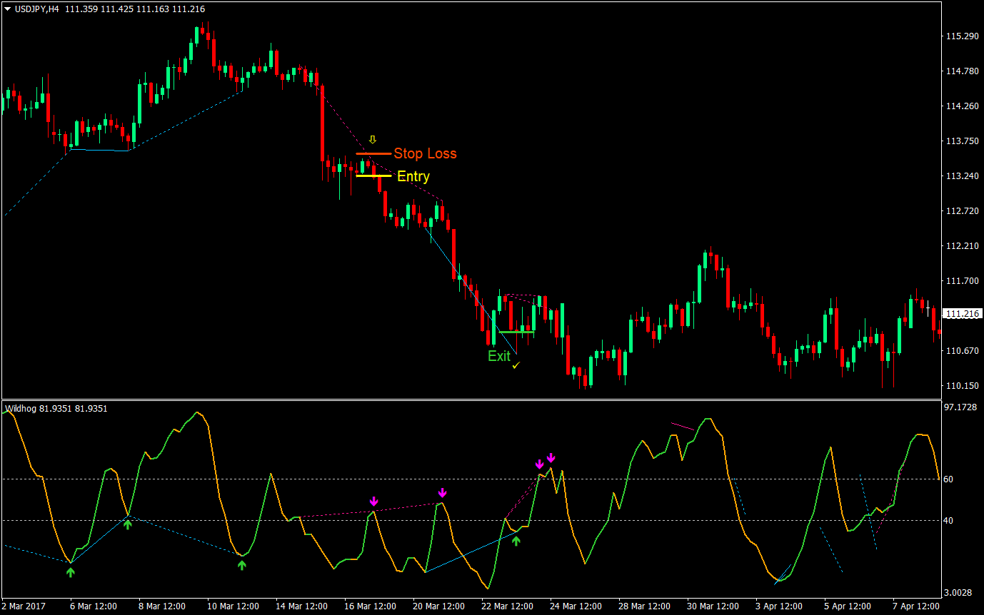 Wildhog Hidden Divergence Forex Trading Strategy – The Ultimate Guide ...