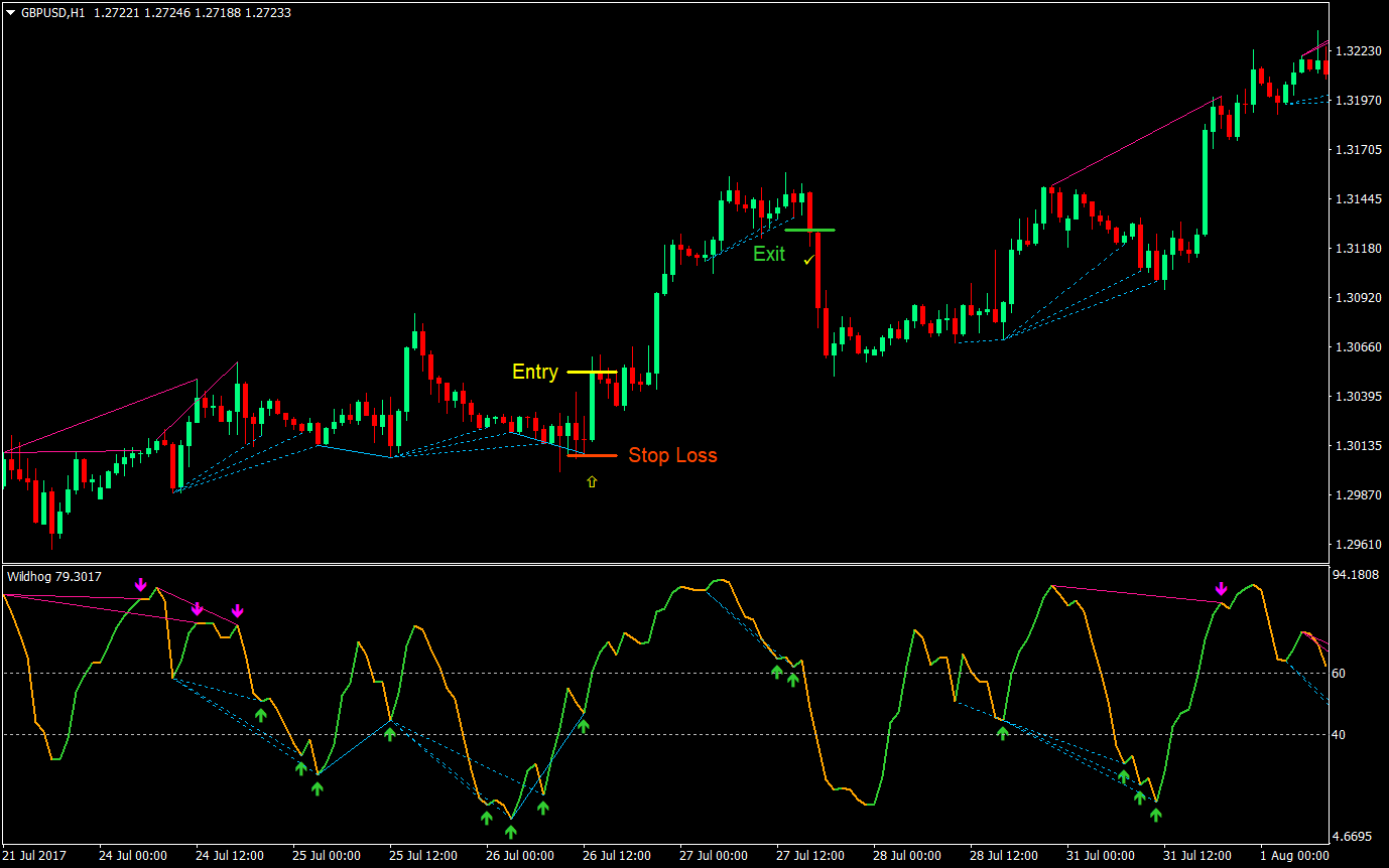 Wildhog Regular Divergence Forex Trading Strategy – The Ultimate Guide ...