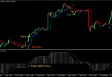 RP Forex Trading System | Forex MT4 Indicators